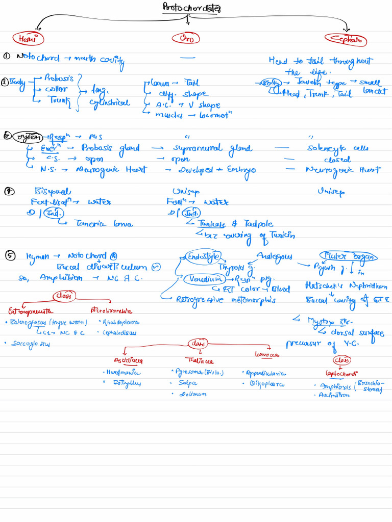 Animal Taxonomy 47 | PDF