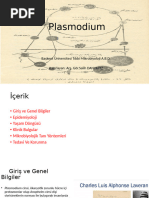 Tatarcik | PDF