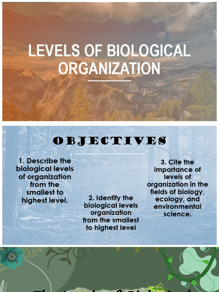 Levels of Biological Organization Explained | PDF | Biology | Ecosystem