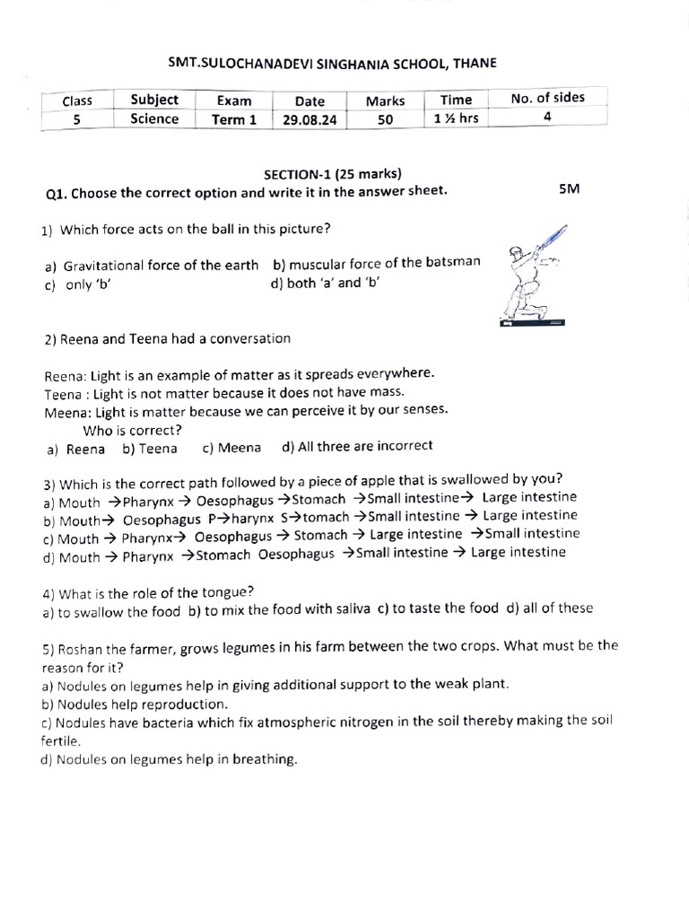 2024 Class 5 Science Question Paper | PDF | Root