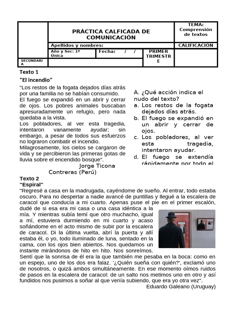Práctica de Comprensión Lectora | PDF