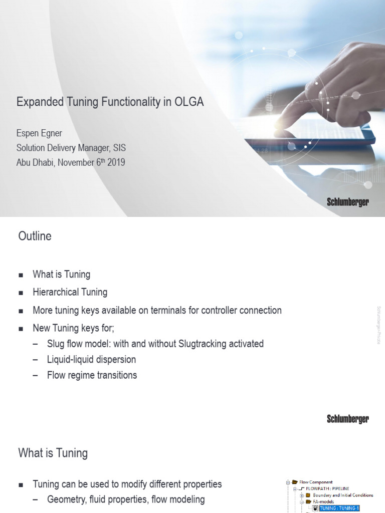 OLGA 2019: Enhanced Tuning Features | PDF | Viscosity | Gases