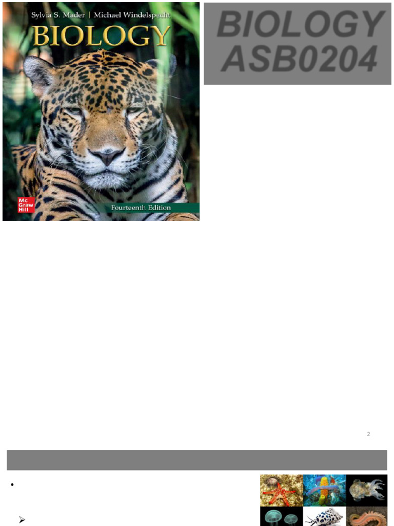 Topic 14 - Animal Evolution and Diversity - STUDENT | PDF | Mollusca ...