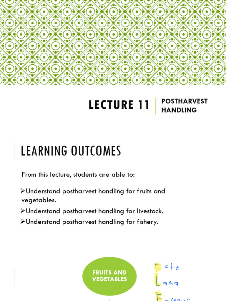 Postharvest Handling Techniques Guide | PDF | Postharvest | Vegetables