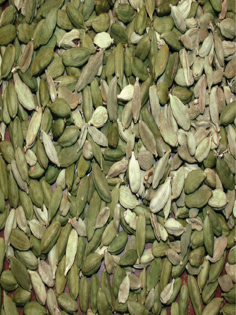 Cardamom Seed Large | PDF