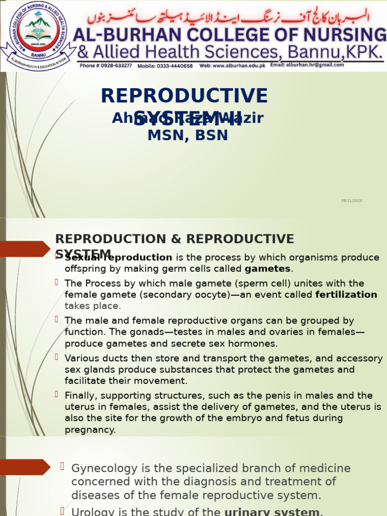 Reproductive System (Male & Female) | PDF | Menstrual Cycle | Uterus