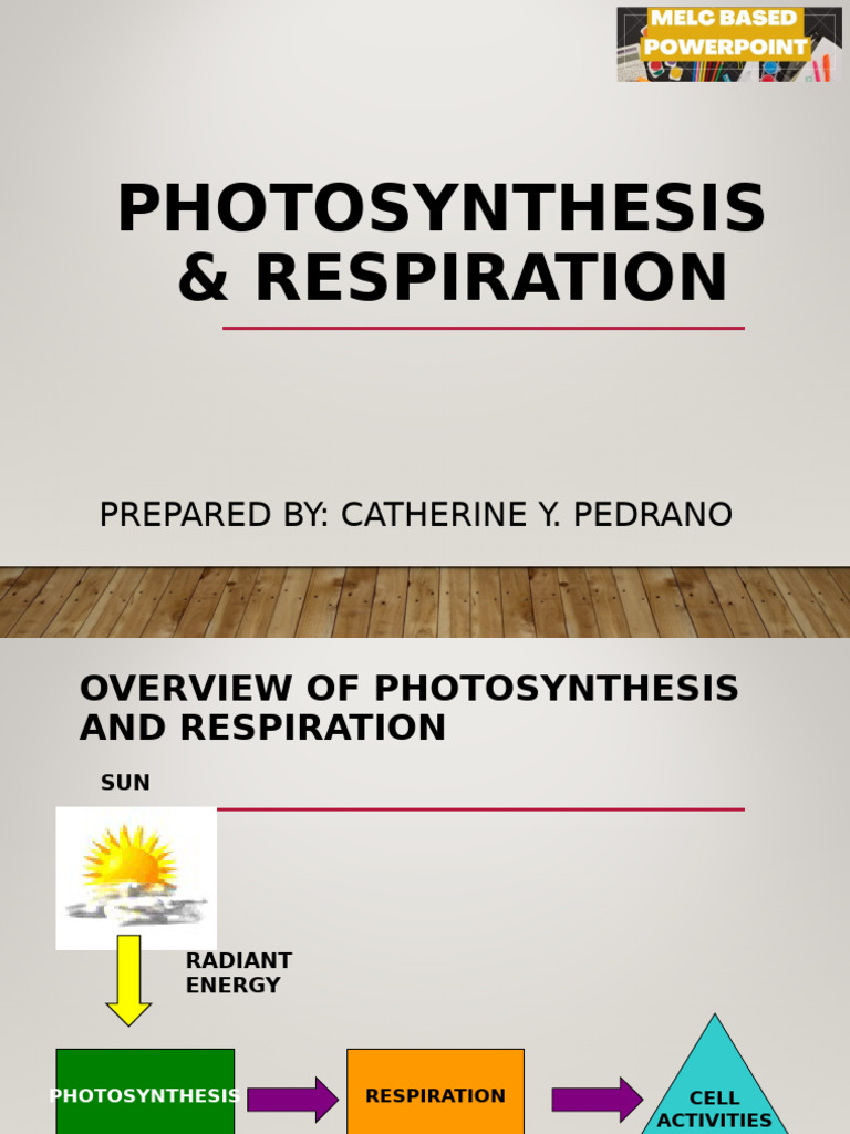 G9 Science Q1 - Week 6-7 Photosynthesis | PDF | Photosynthesis ...