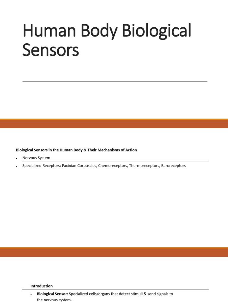 Biological Sensors in Human Physiology | PDF