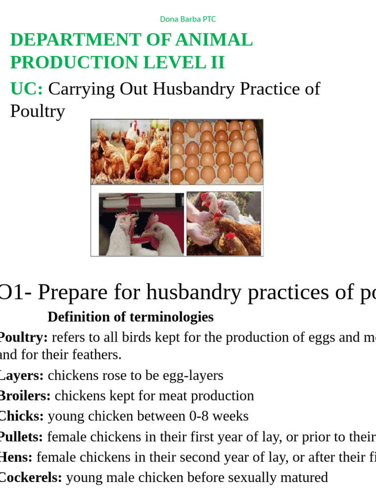 Department of Animal Production Level Ii UC:: Carrying Out Husbandry ...