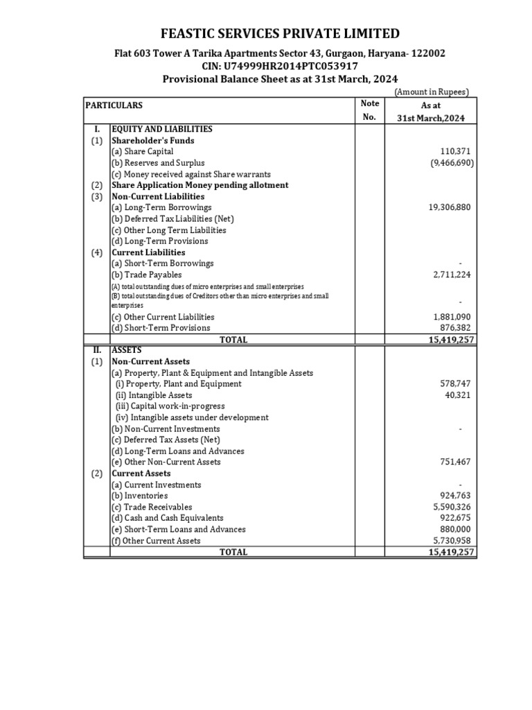 Provisional Balance Sheet for Feastic Services | PDF | Balance Sheet ...