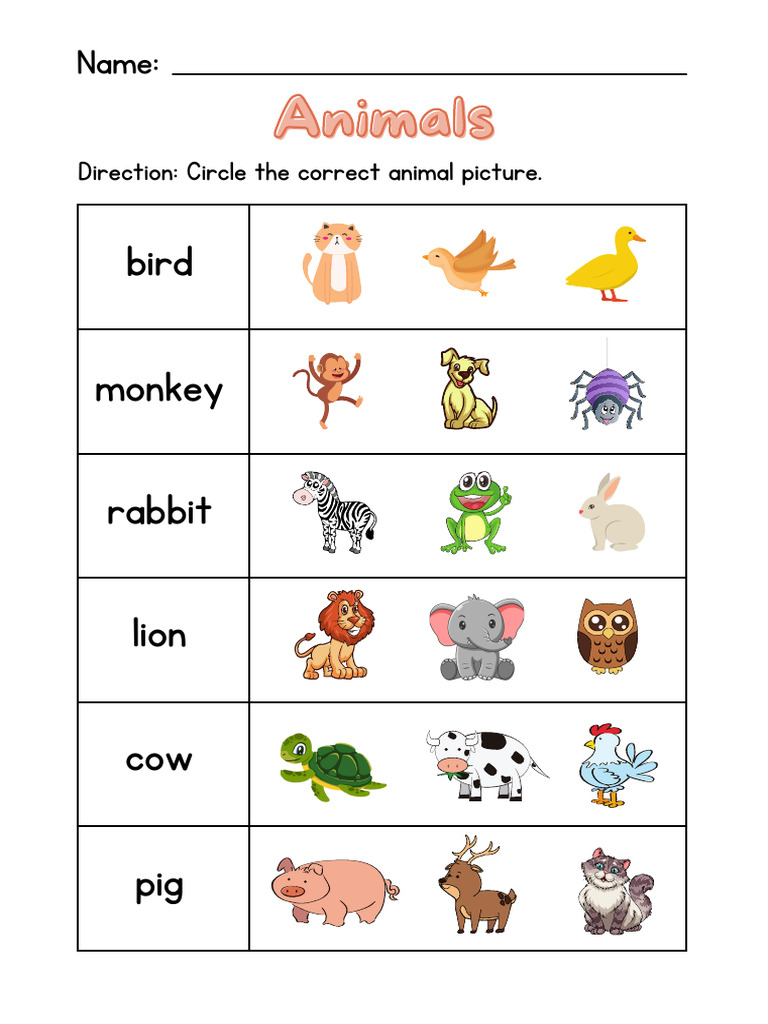 Colorful Illustrated Animal Identification Worksheet | PDF