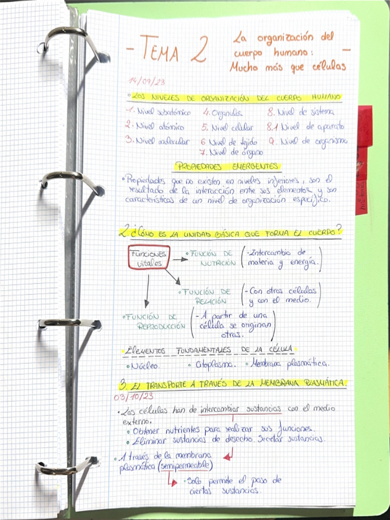 Biología Temas 2-3-4 | PDF