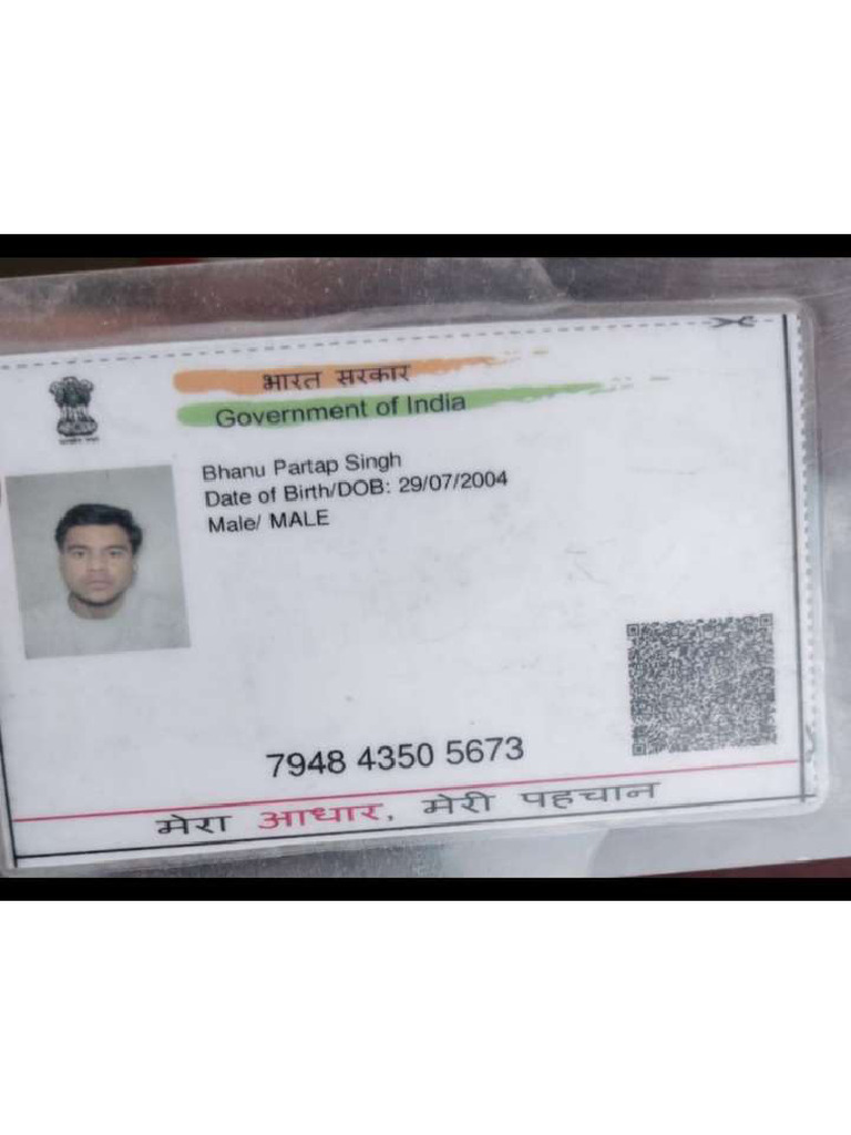 Document Bhanu Partap | PDF