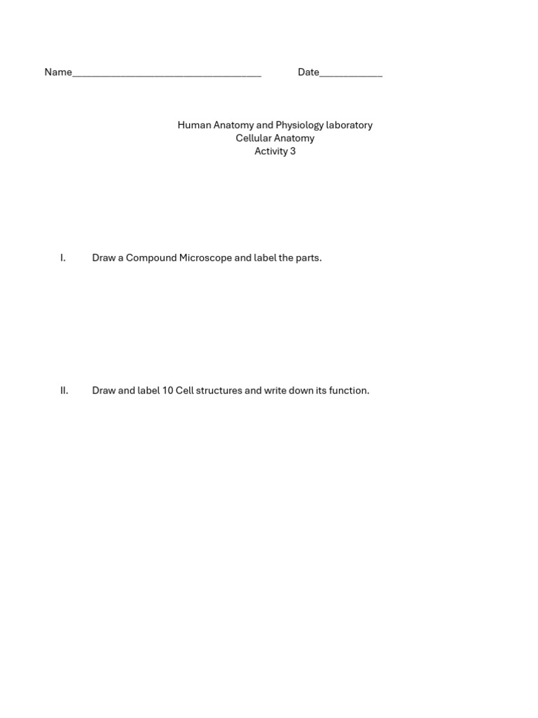 Anaphy Lab 3 04 | PDF