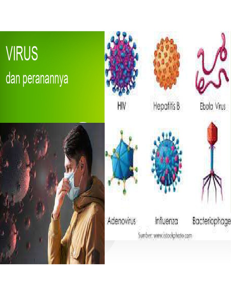 Peran dan Ciri Virus dalam Biologi | PDF