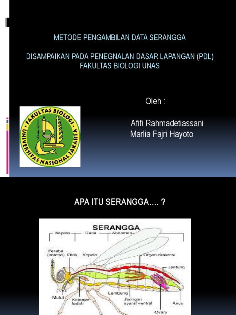 Metode Pengambilan Data Serangga | PDF