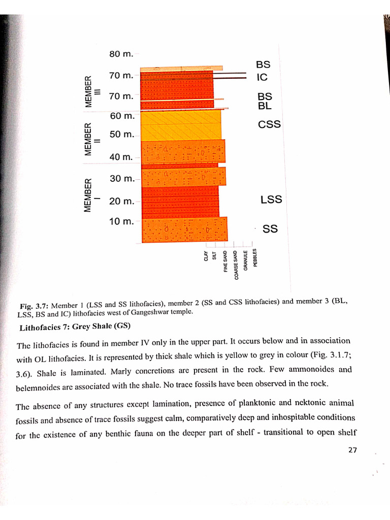Grey Shale and Ooilitic Limestone Lithofacies | PDF