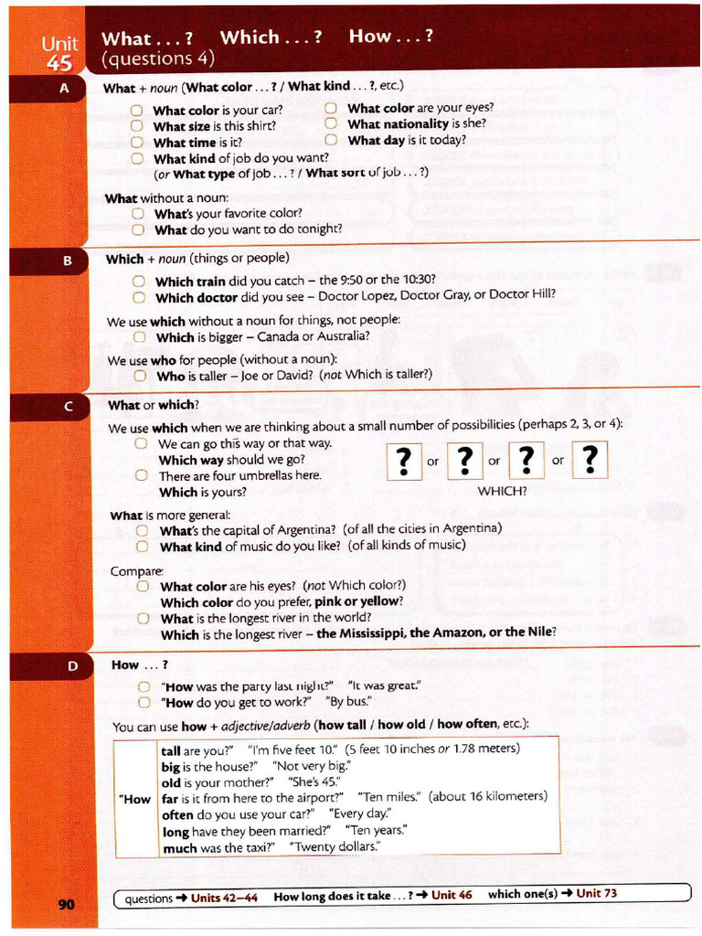 What Which How Questions | PDF