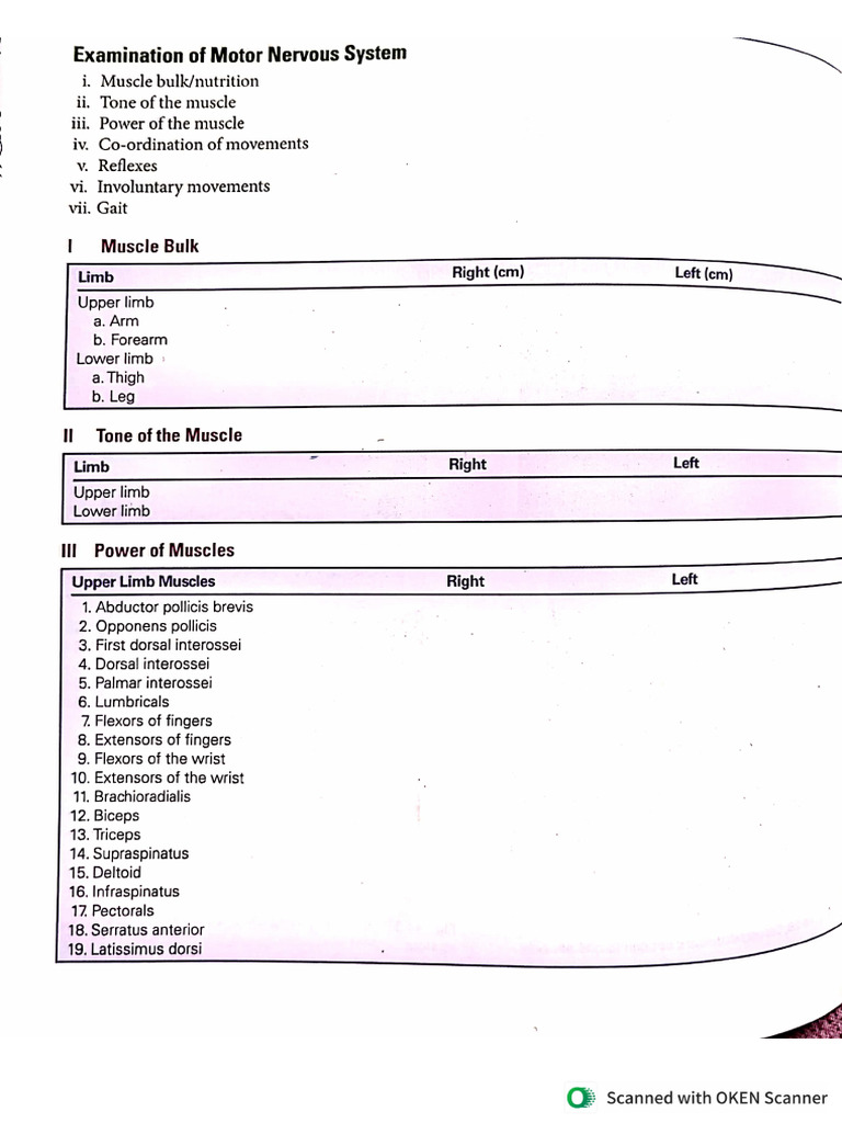 Motor System Examination | PDF