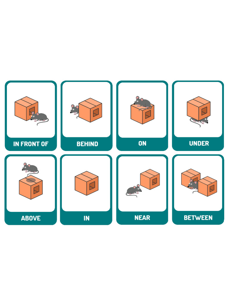 Where Is The Cute Mouse Flashcard | PDF