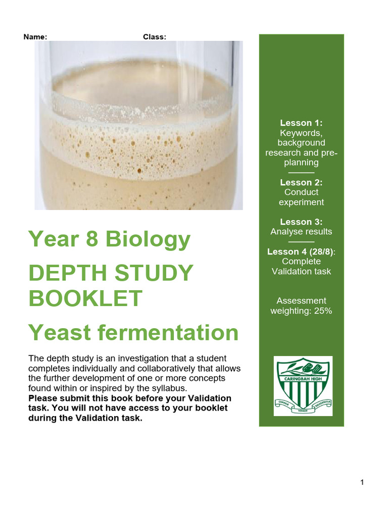 Y8 2025 Depth Study Booklet | PDF | Yeast | Fermentation