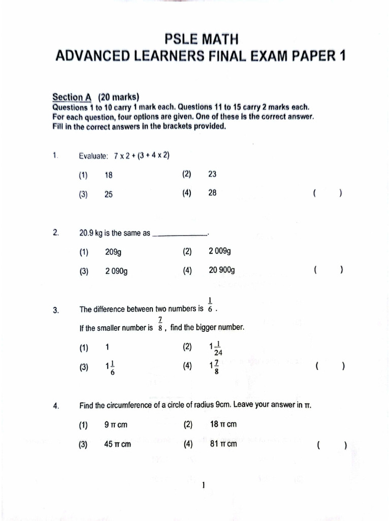 Psle Math | PDF