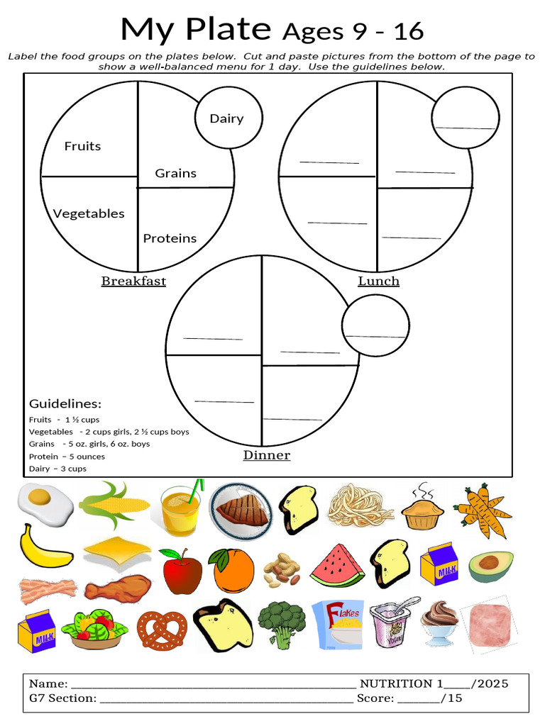 My Plate Activity for Ages 9-16 | PDF | Foods | Cereals