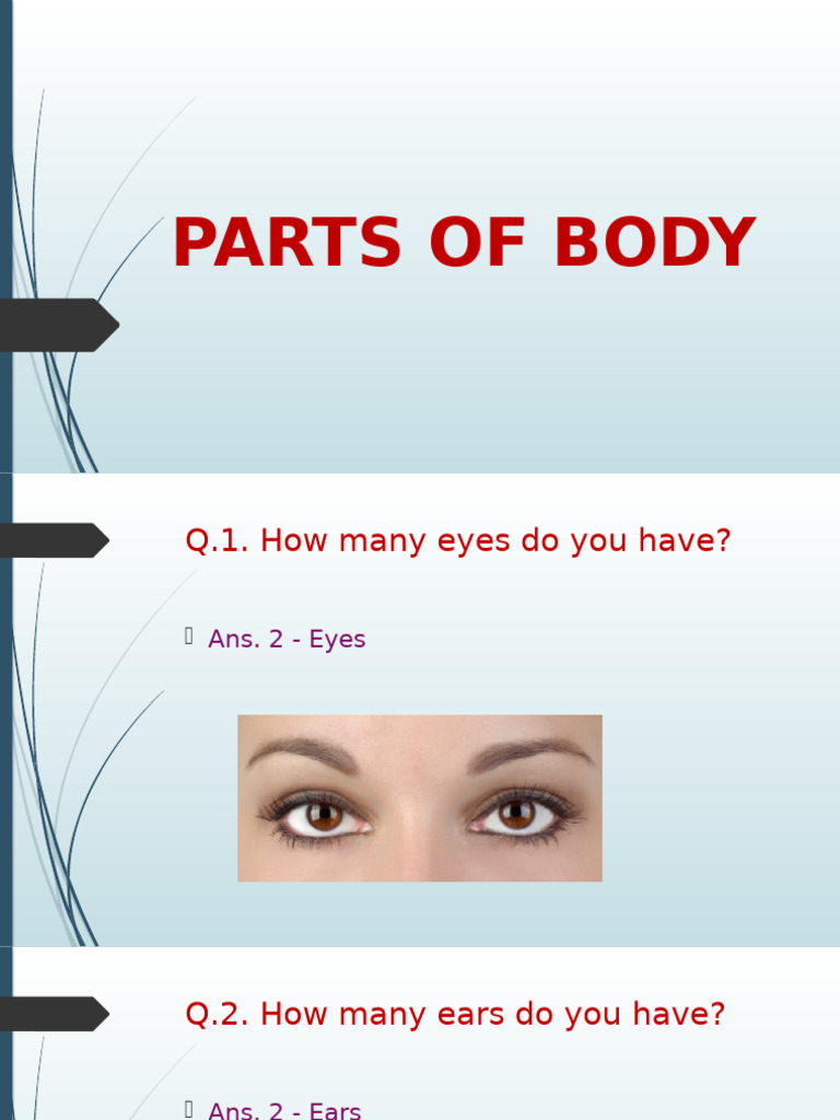 Body Parts and Their Functions | PDF