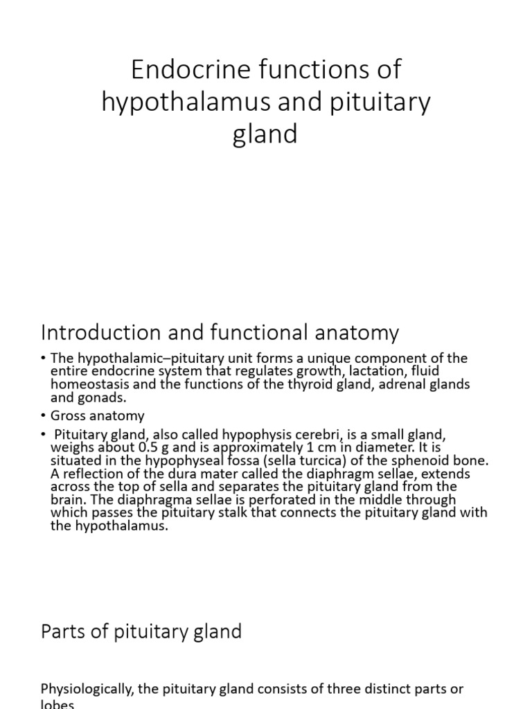2. Endocrine Functions of Hypothalamus and Pituitary Gland | PDF ...