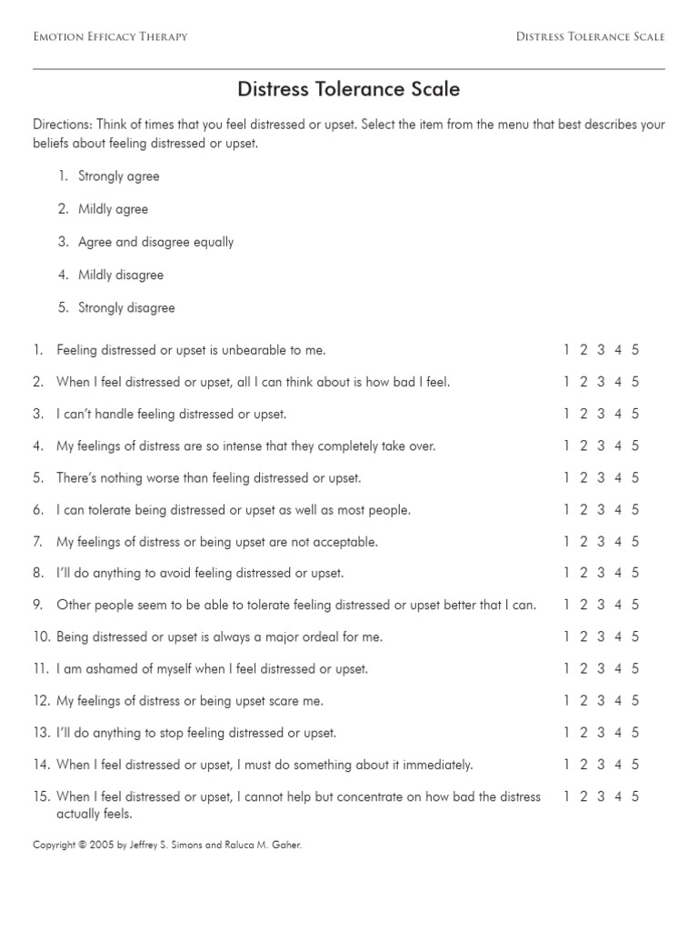 Distress Tolerance Scale Questionnaire | PDF