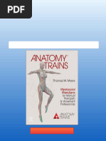 Anatomy Trains Charts | PDF