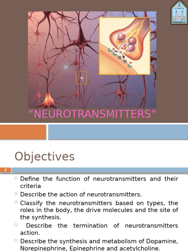 Understanding Neurotransmitters and Their Functions | PDF ...