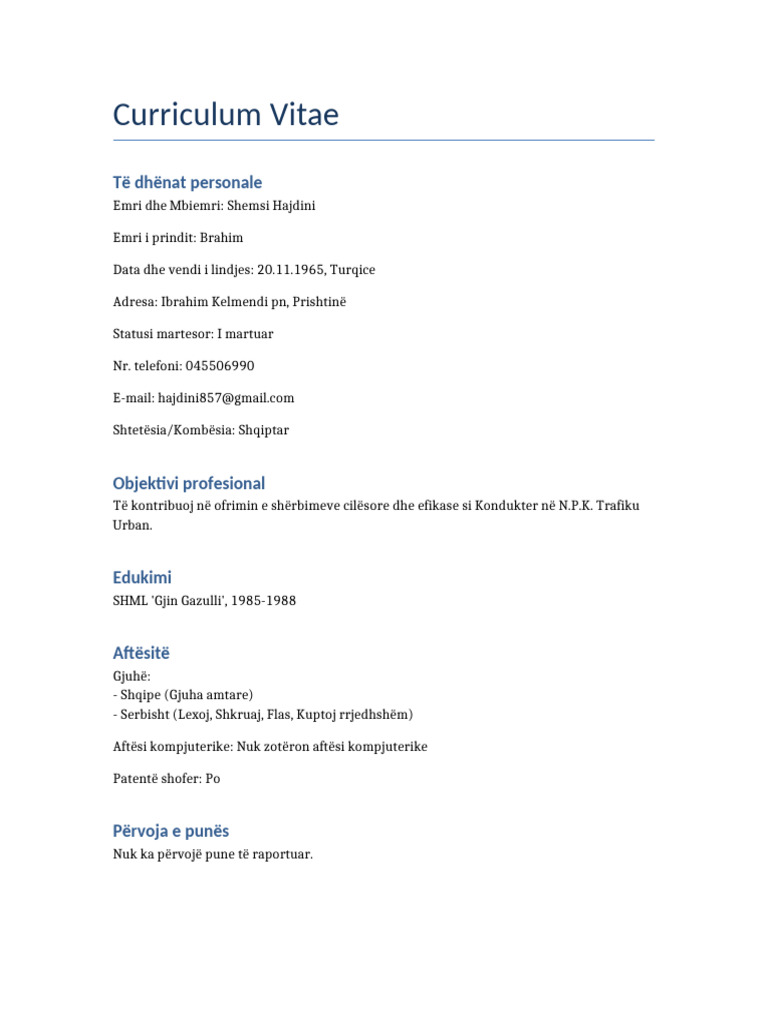 CV Shemsi Hajdini | PDF