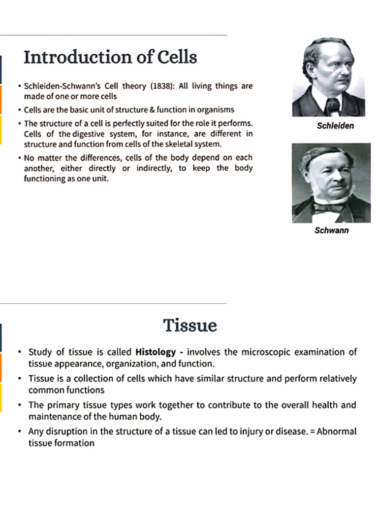 Normal and Abnormal Tissue | PDF
