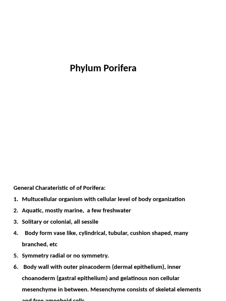 Characteristics and Classification of Porifera | PDF | Sponge