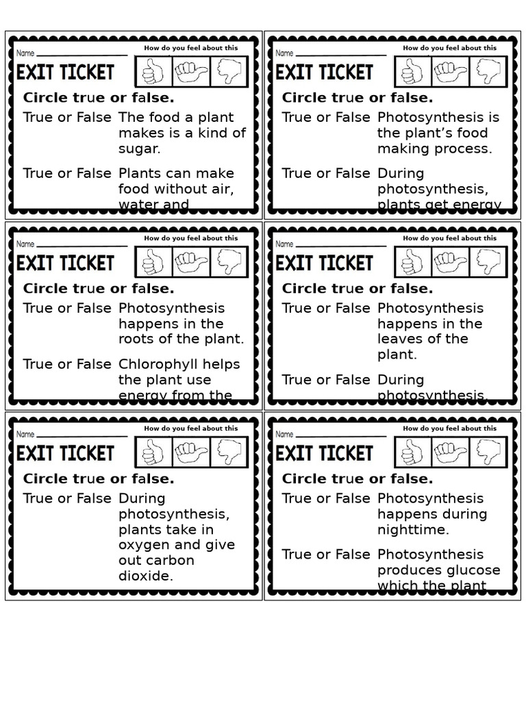 Photosynthesis Exit Ticket | PDF