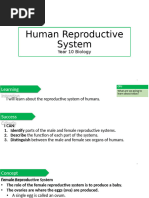 Human Reproductive Systems PowerPoint | PDF | Human Reproduction ...