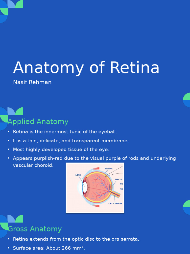 Anatomy of Retina | PDF | Retina | Visual System