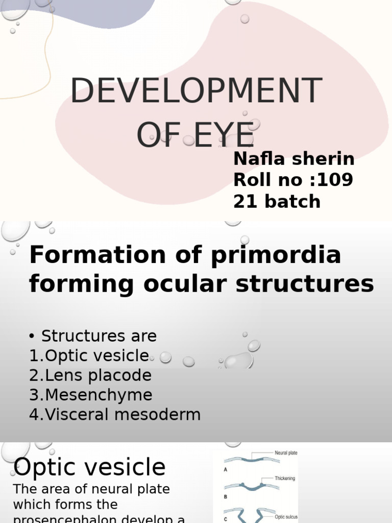 Ocular Structure Development Overview | PDF | Nervous System | Nerve