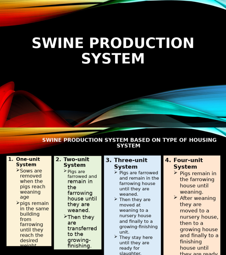 Swine Production System | PDF