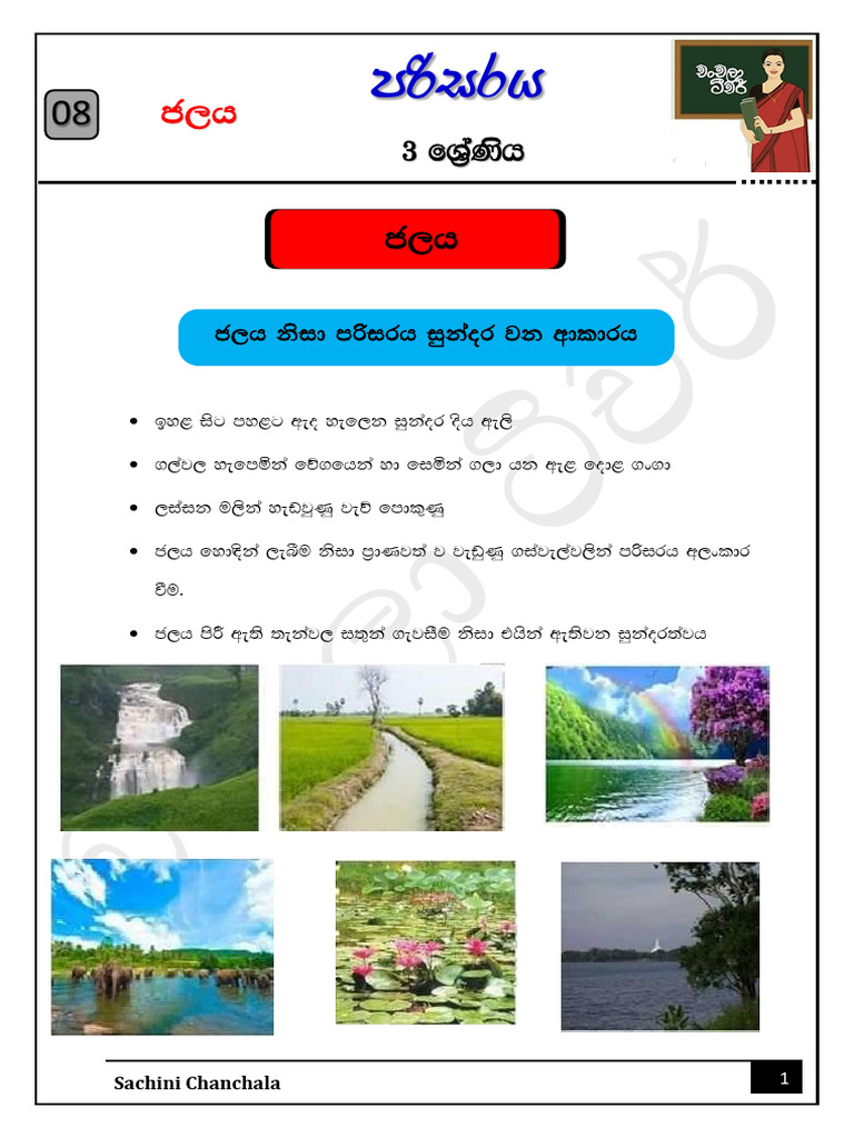 Grade 3 Parisaraya Study Notes | PDF