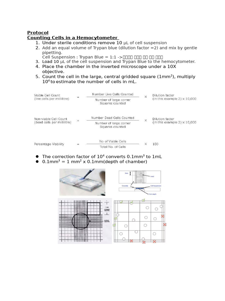 Protocol For Counting Cells in Hemocytometer | PDF