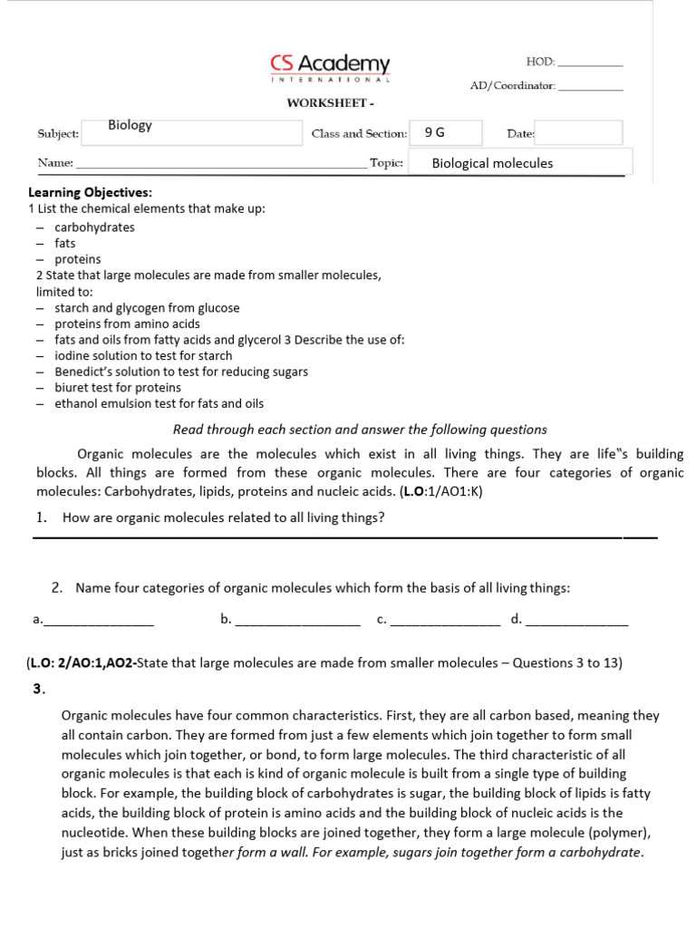 Gr9 Worksheet 1 Biomolecules | PDF | Carbohydrates | Proteins