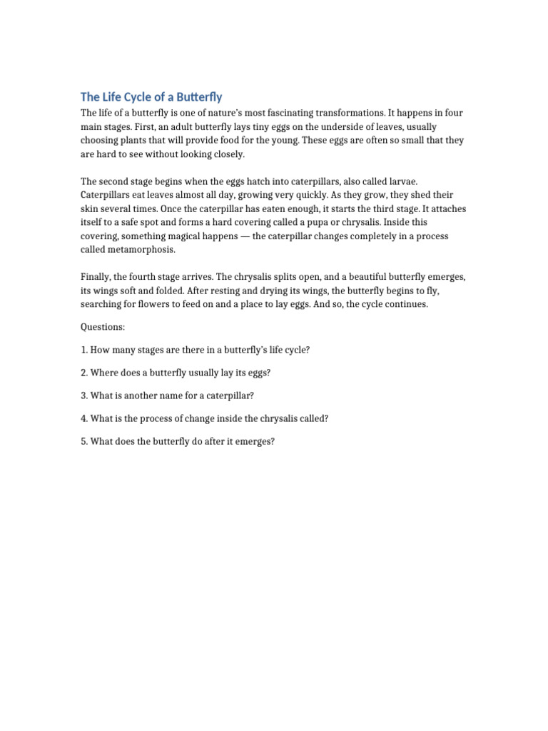 Butterfly Life Cycle: Second Stage Explained | PDF