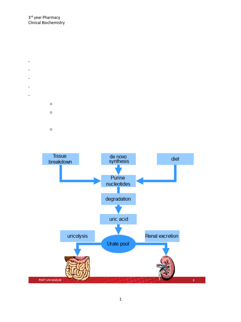 Urate Metabolism and Gout-Modified | PDF | Gout | Clinical Medicine