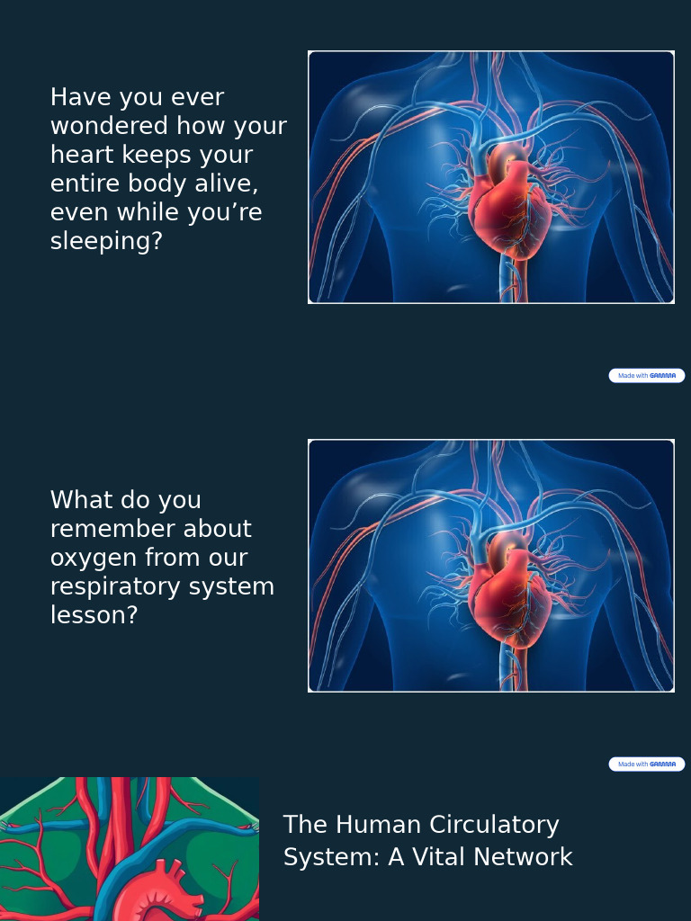 Grade 6 Circulatory System Overview | PDF | Circulatory System | Blood
