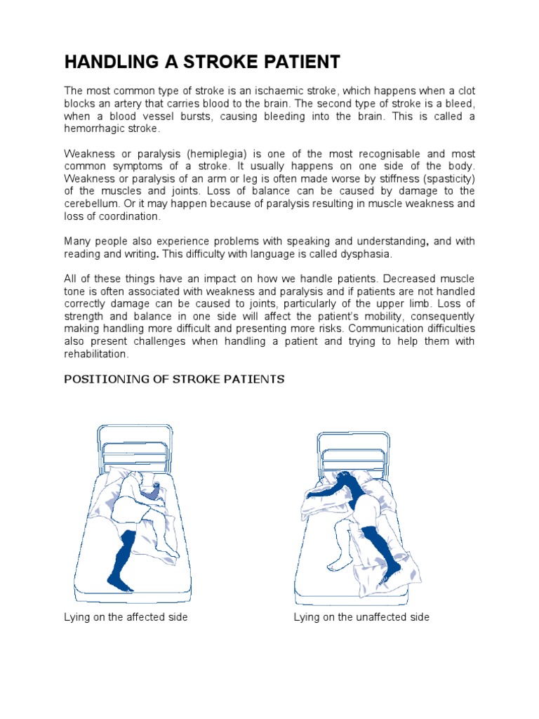 Stroke Handout | PDF | Anatomical Terms Of Motion | Stroke