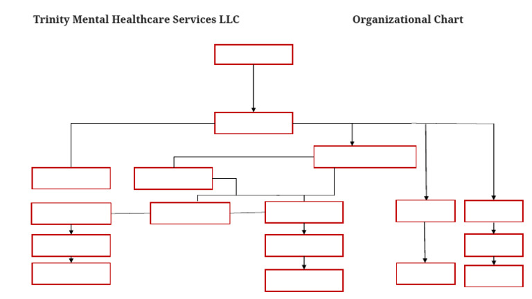 Trinity OMHC Org Chart | PDF