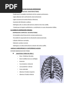 Signos Radiológicos Neumoperitoneo | PDF