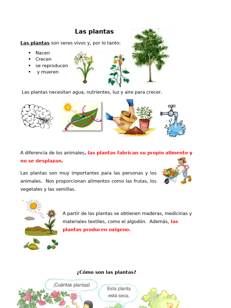 Necesidades de las plantas | PDF | Plantas | Semilla